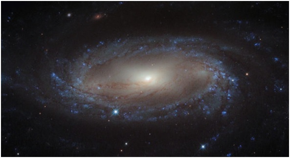 Constelación de Máquina Neumática